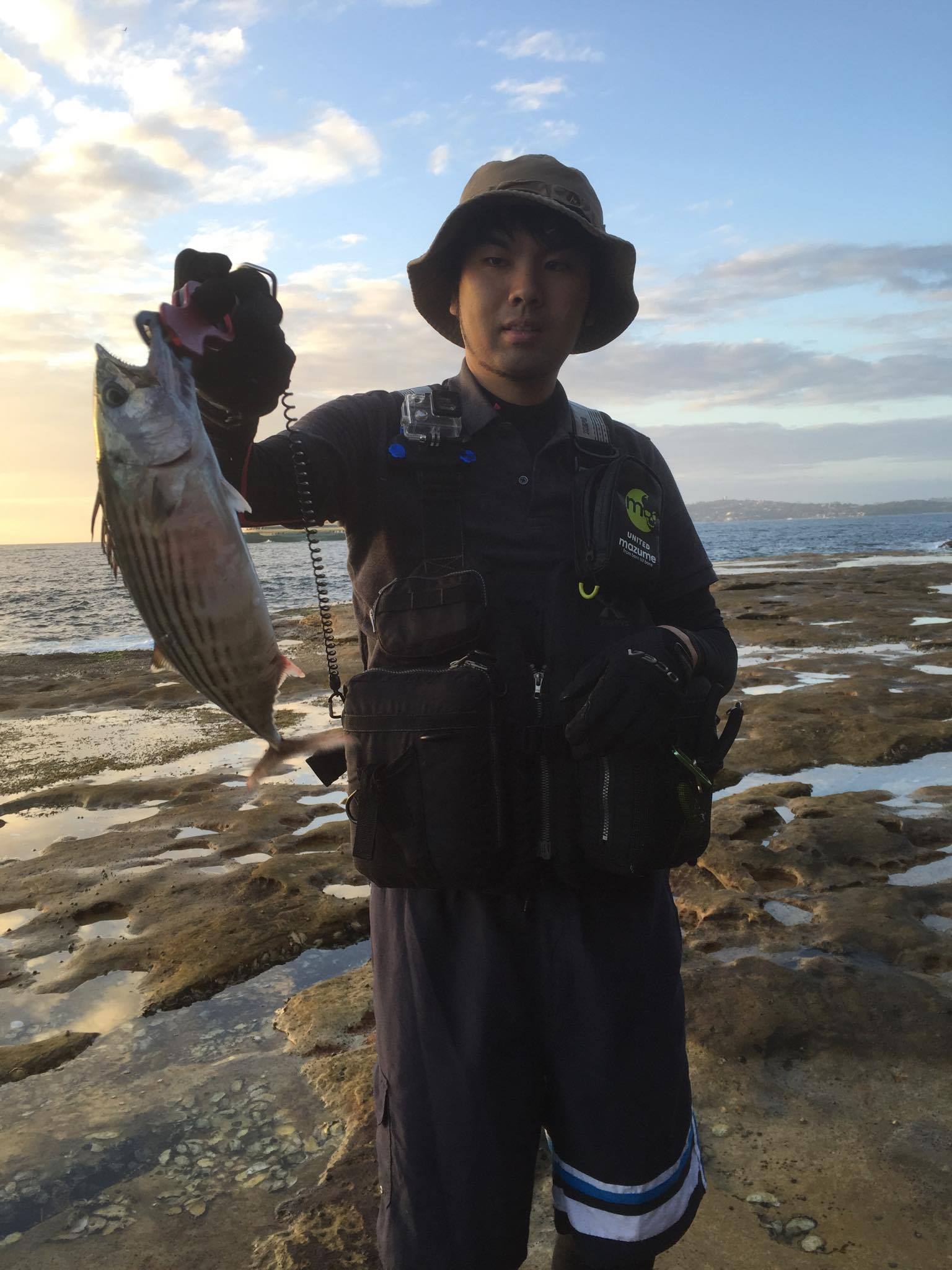 小さいハガツオと中サイズLeaping Bonito 【2016/2/28 & 29】 » 豪磯部 - Sydney Rockshore ...